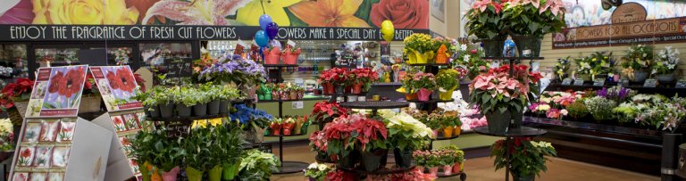 Flower Market - Martin's Super Markets